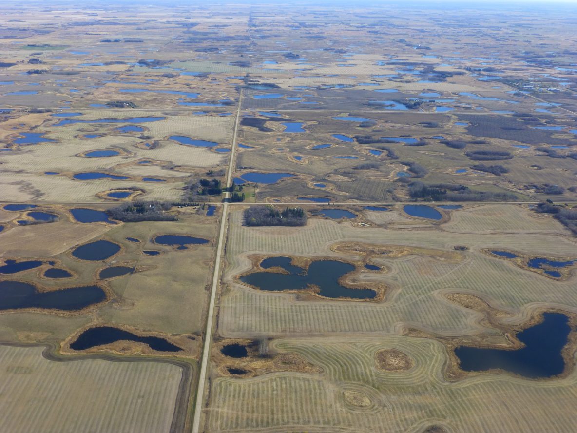 New High-Resolution Wetland Data Available - The Manitoba Habitat ...